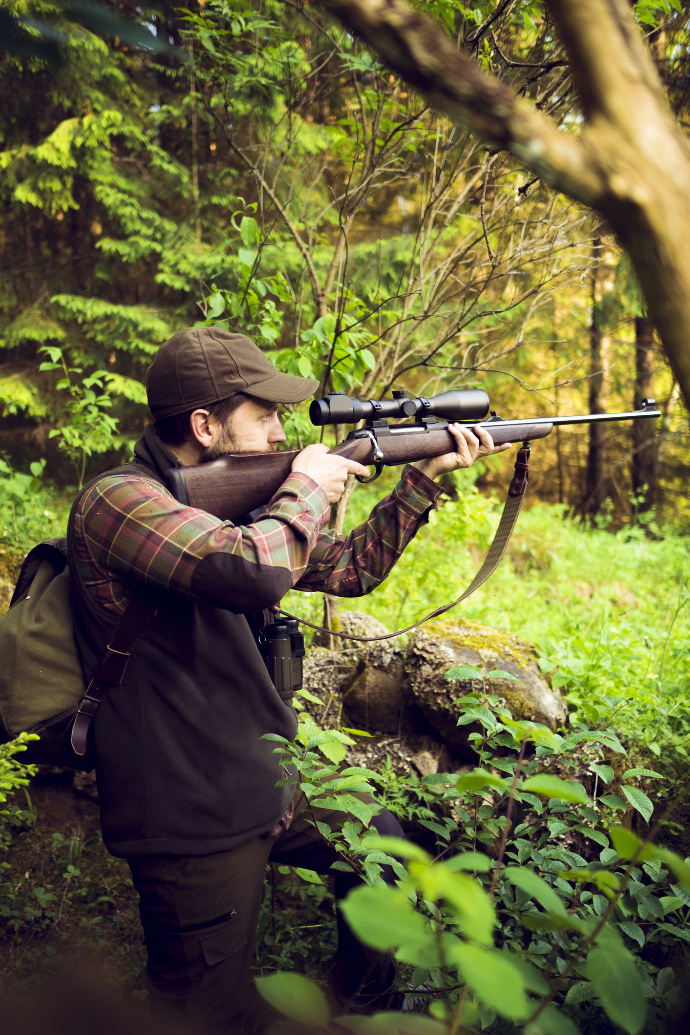 Hunter Aiming At Prey While Hiding In The Forest - Craig Goldman for ... Hunter Aiming At Prey While Hiding In The Forest - Craig Goldman for ...